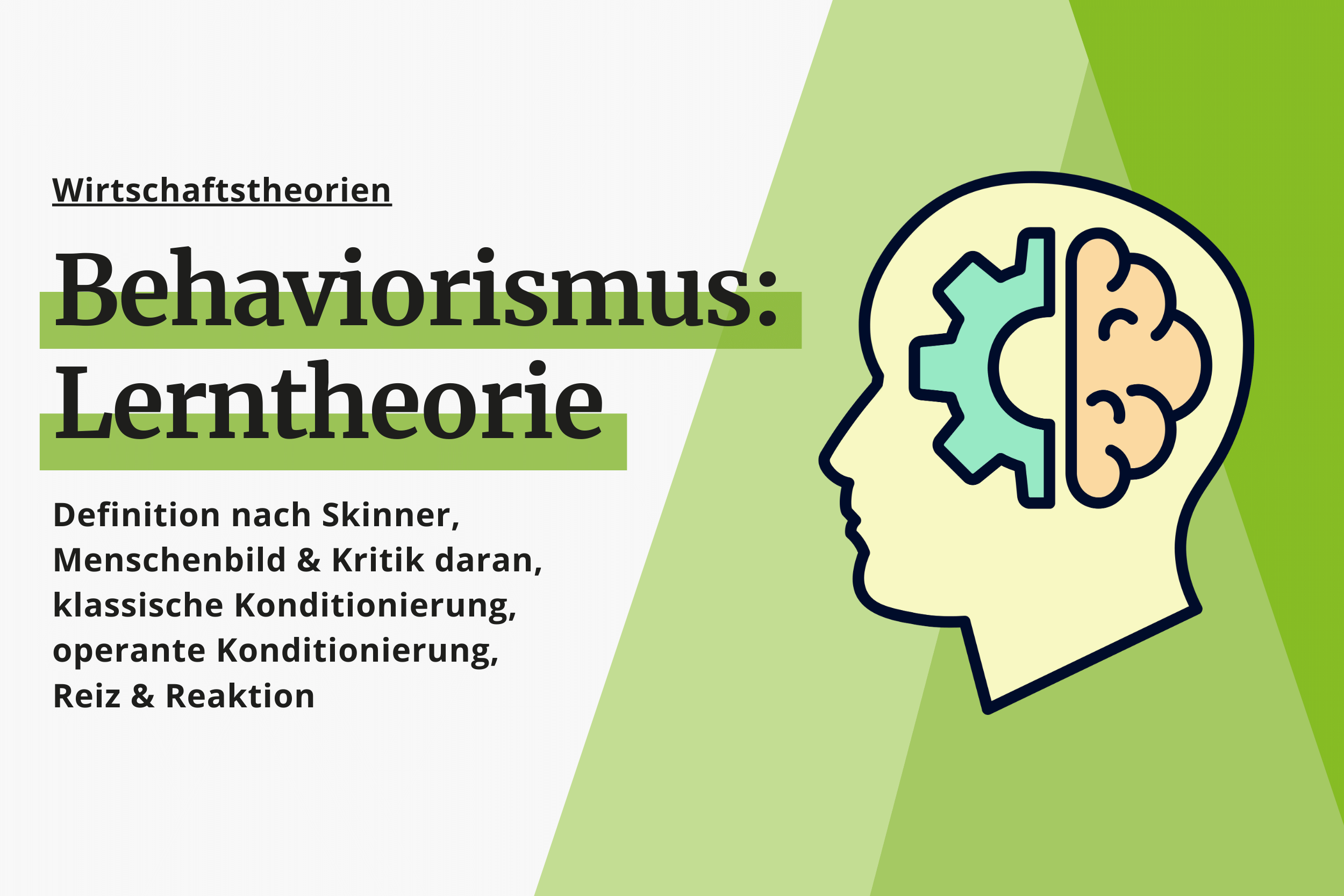 Behaviorismus: Definition & Lerntheorien nach Skinner, Kritik